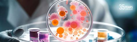 Contaminants Testing In India Eurofins India