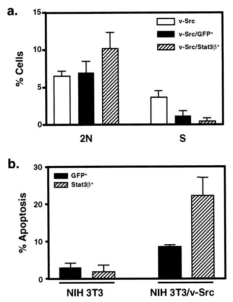 Stat3 Mediated Myc Expression Is Required For Src Transformation And
