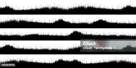 풀밭이 있는 초원 실루엣 평야에 식물 허브 다양한 잡초가 있는 탁 트인 여름 잔디밭 풍경 초본 테두리 프레임 요소 검은색 가로 배너입니다 벡터 그림 0명에 대한 스톡 벡터