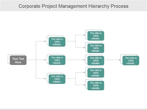 Corporate Project Management Hierarchy Process Presentation Graphics