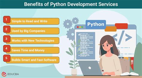 How Python Development Services Shape Software Engineering