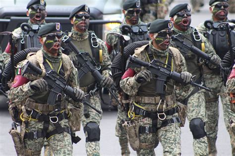 Fuerzas Especiales Adiestramiento Disciplina Valor Al Servicio De