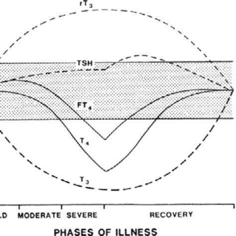 Thyroid Function Testing During Nonthyroidal Illness “euthyroid Sick