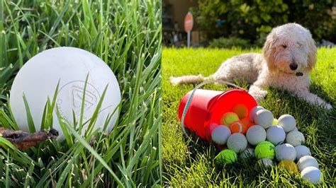 Still Havent Found What You Are Looking For