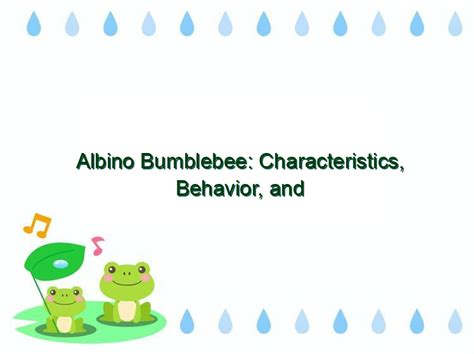 Albino Bumblebee Characteristics Behavior And Habitat Vital Frog