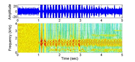 the time series top and corresponding spectrogram bottom plots for