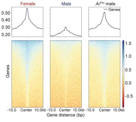Sex Differences In Immune Mediated And Inflammatory Diseases Are Well Sex Differences In Immune Mediated And Inflammatory Diseases Are Well