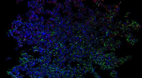 Vulkan Deferred Renderer And Ssao Clément Pirelli