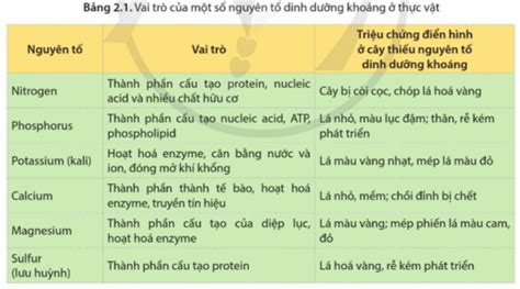 Lý thuyết Trao đổi nước và khoáng ở thực vật Cánh diều hay chi tiết