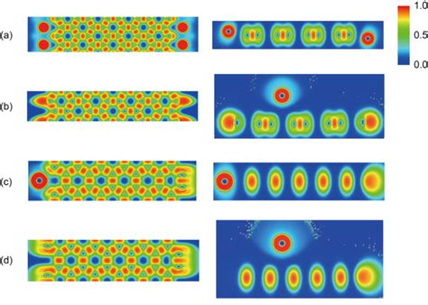 Electron Localized Function Distribution Of A B Ag Zgnr And C D Download Scientific