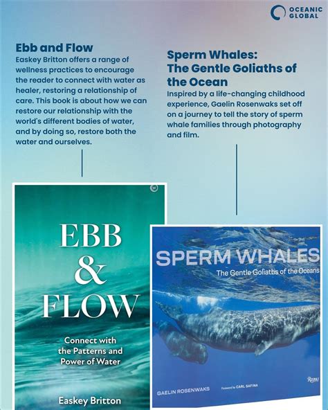 3 Ebb And Flow By Easkeysurf 4 Sperm Whales The Gentle Goliaths