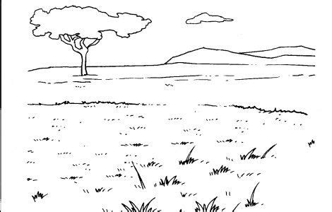 Grassland Habitat Coloring Page