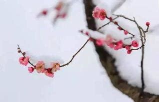 VTKDICOM修改後的VTK sample code 每日頭條