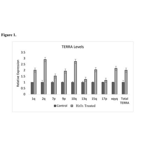 Absolute Human Telomere Length Quantification Qpcr Assay Kit Ahtlq