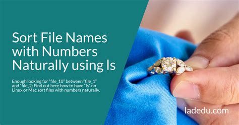 How To Sort Files By Number In Natural Order Using “ls” La De Du