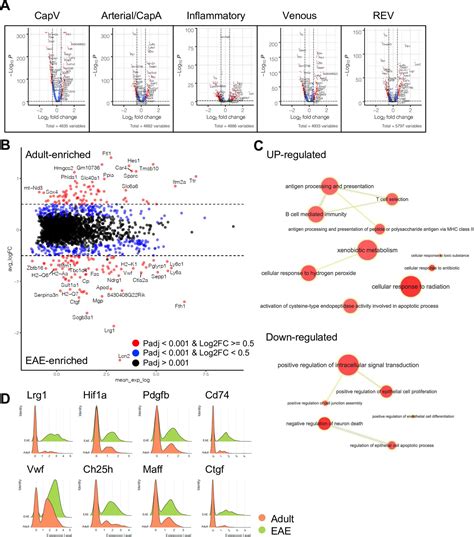 Figures And Data In Single Cell Transcriptomics Reveals Functionally Specialized Vascular