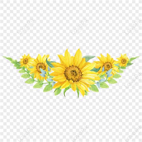 봄 일러스트 노란 해바라기 테두리 손으로 그린 수채화 그림 요소삽화녹색 잎 Png 일러스트 무료 다운로드 Lovepik