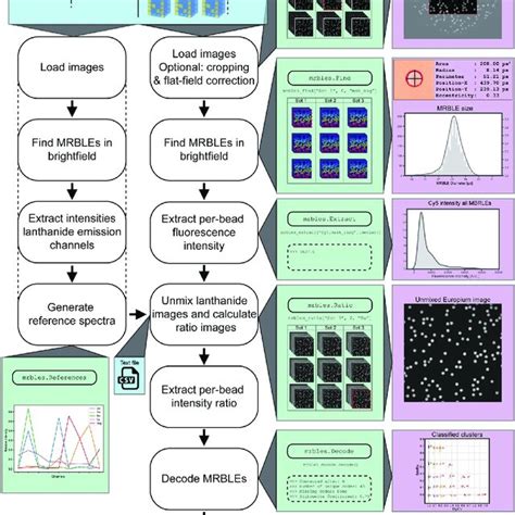 Diagram Of Analysis Pipeline Depicted Are The Top Level Classes Of The