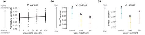 seedling intraspecific trait variation in a architectural complexity