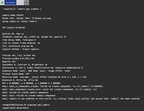 Multi Container Setup Unable To Detect Picamera Product Support