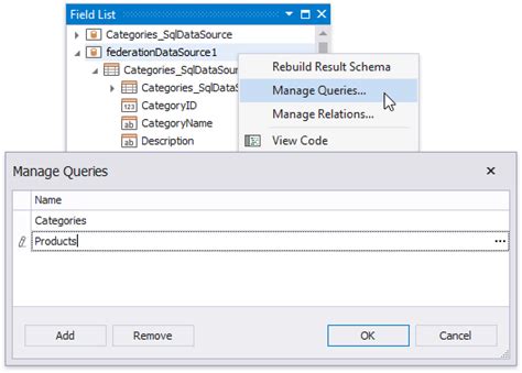 Bind A Report To A Federated Master Detail Data Source Net Reporting