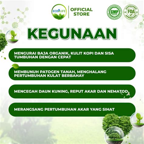 Microbial Fertilizer Trichoderma Fungus Insects Yellow Leaves