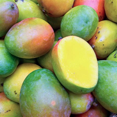 How To Tell If Mango Is Ripe Lotustryo