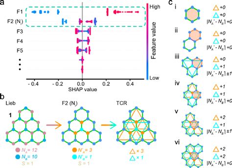From Liebs Theorem To Tcr A Shap Summary Plot Showing The Impacts Download Scientific