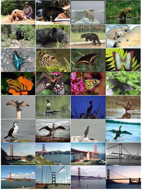 figure 1 from low level features for image retrieval based on