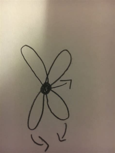 Chromosome Diagram Diagram Quizlet