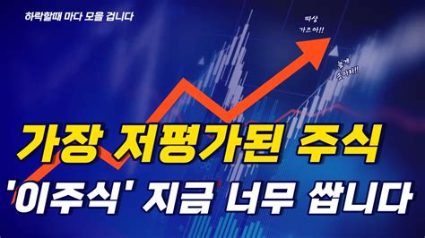 하락할때 마다 매수 기회 이주식 지금 너무 쌉니다 저평가 우량주 Top2 Youtube