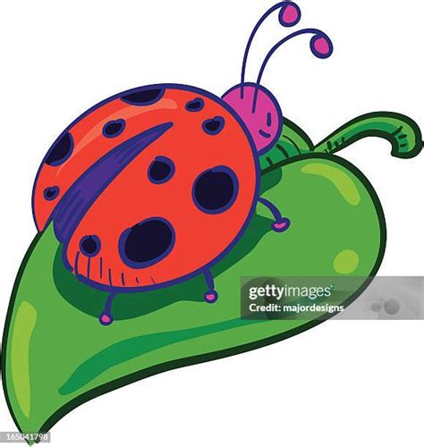 Ladybug Sketch Photos And Premium High Res Pictures Getty Images