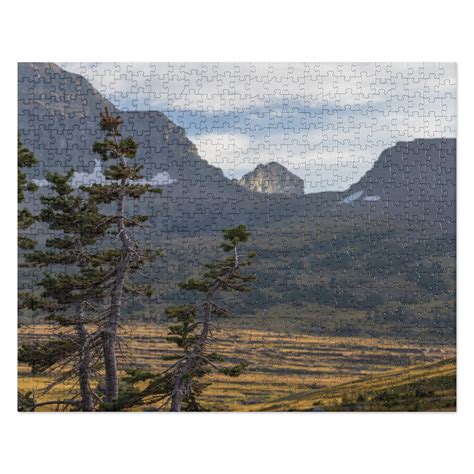 Logan Pass Pines Jigsaw Puzzle Western Scenic Goods