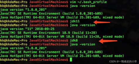 mac中安装jdk1 8和jdk11双版本并任意切换 mac jdk11 csdn博客