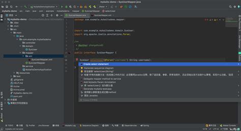 Idea中mybatis Java Xml 关联插件小屁孩的技术博客51cto博客