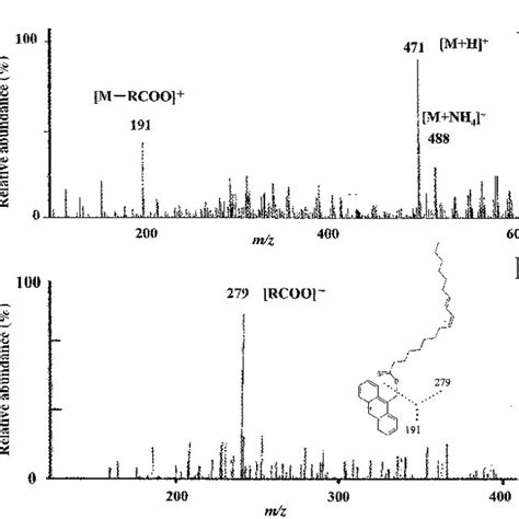 Rp Hplc Separation Of A Standard Mixture Of Fatty Acids As 9 Anthryl Download Scientific