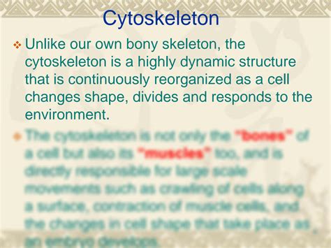 Solution Alberts Essential Cell Biology Ch 17 A Slides Studypool