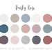 Dusty Rose Palette Procreate Color Swatches Pink Blue Mauve Gray Denim Boho Ipad App Hex