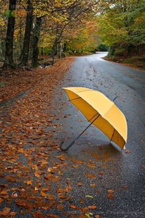 পিকচার My Bd Tips