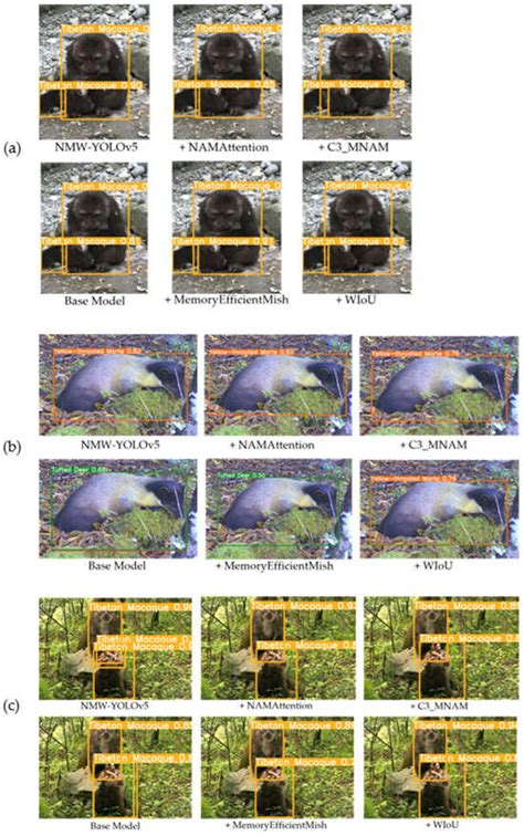 Identification Of Rare Wildlife In The Field Environment Based On The Improved Yolov5 Model