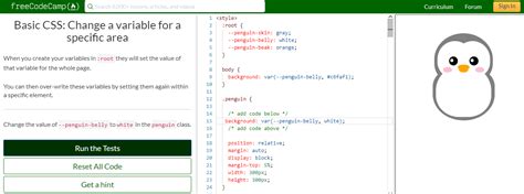 Type Issue In Directions Issue FreeCodeCamp FreeCodeCamp GitHub