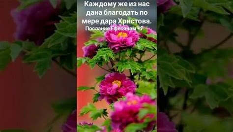 Слова ободрения из библии Смотреть онлайн в поиске Яндекса по Видео