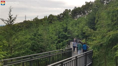 서울시 내 손안에 서울