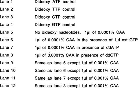 9 Sequencing M13mp18 Single Stranded Dna In The Presence Of Download Table
