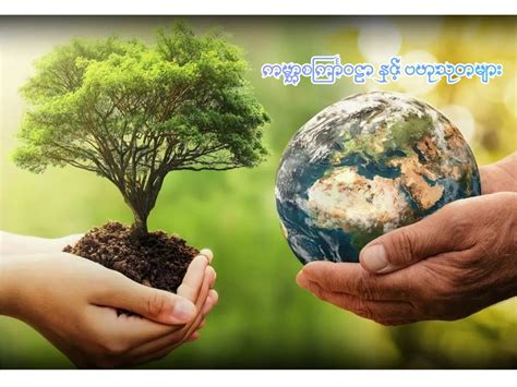 Msp Myanmar Science Platform 🔳 အနီ၊ လိမ္မော်၊ အနက်နဲ့ စိမ်းပြာရောင