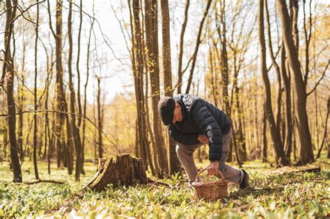 What Triggers Hip Osteoarthritis