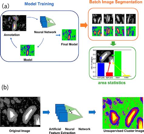 workflow of a the supervised image segmentation strategy and b