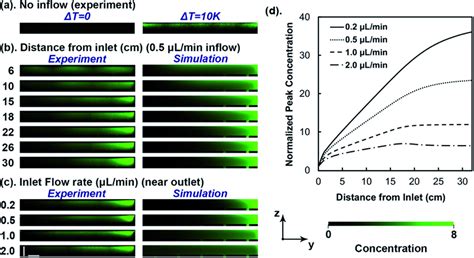 Steady State Distribution And Peak Concentration Of 100 Nm Polystyrene