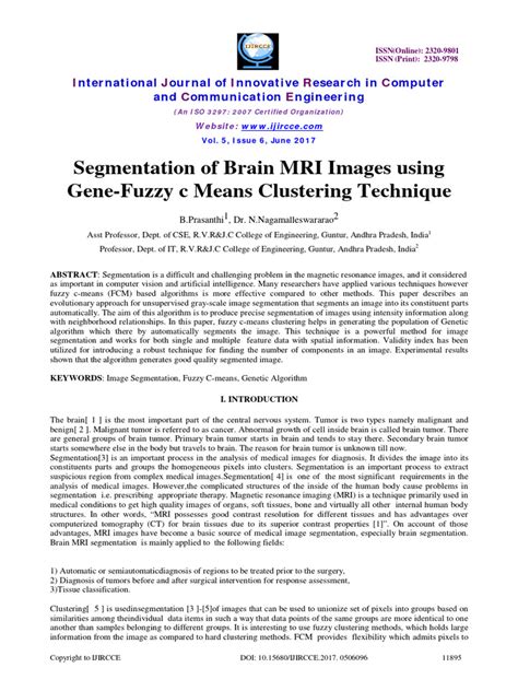 fuzzy segmentation pdf image segmentation cluster analysis
