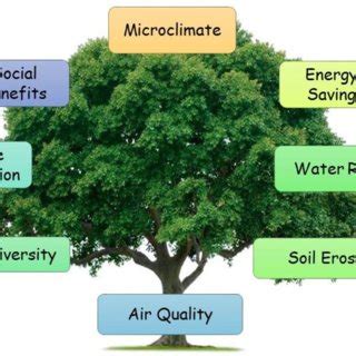 Air Pollution Removal Comparison Between The Species Specific Download Scientific Diagram